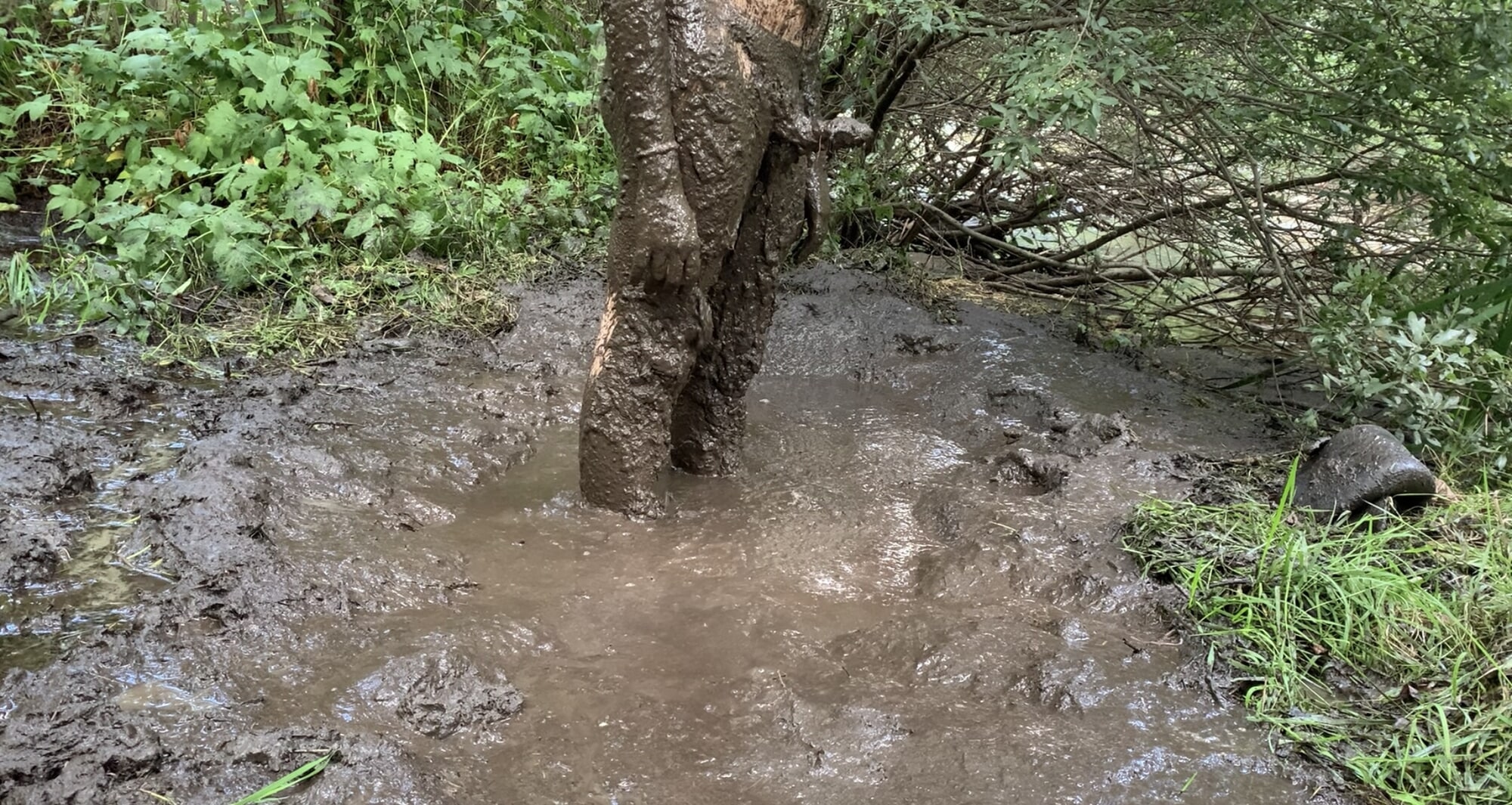 Mud Mud Mud 38 Pics Xhamster 8595