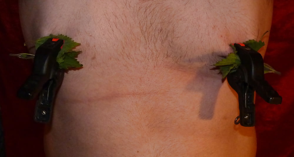 Cbt With Nettle 20 Pics Xhamster